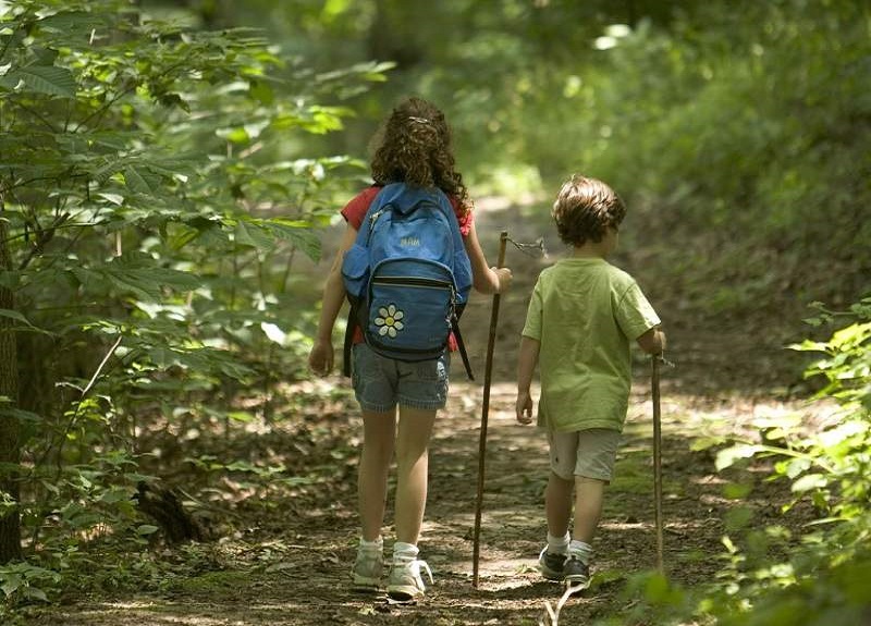 How to Plan for A Hiking Trip with Your Kids